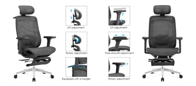 Rae Ergo Flex 4D Ergonomic Chair | Mesh Office Chair