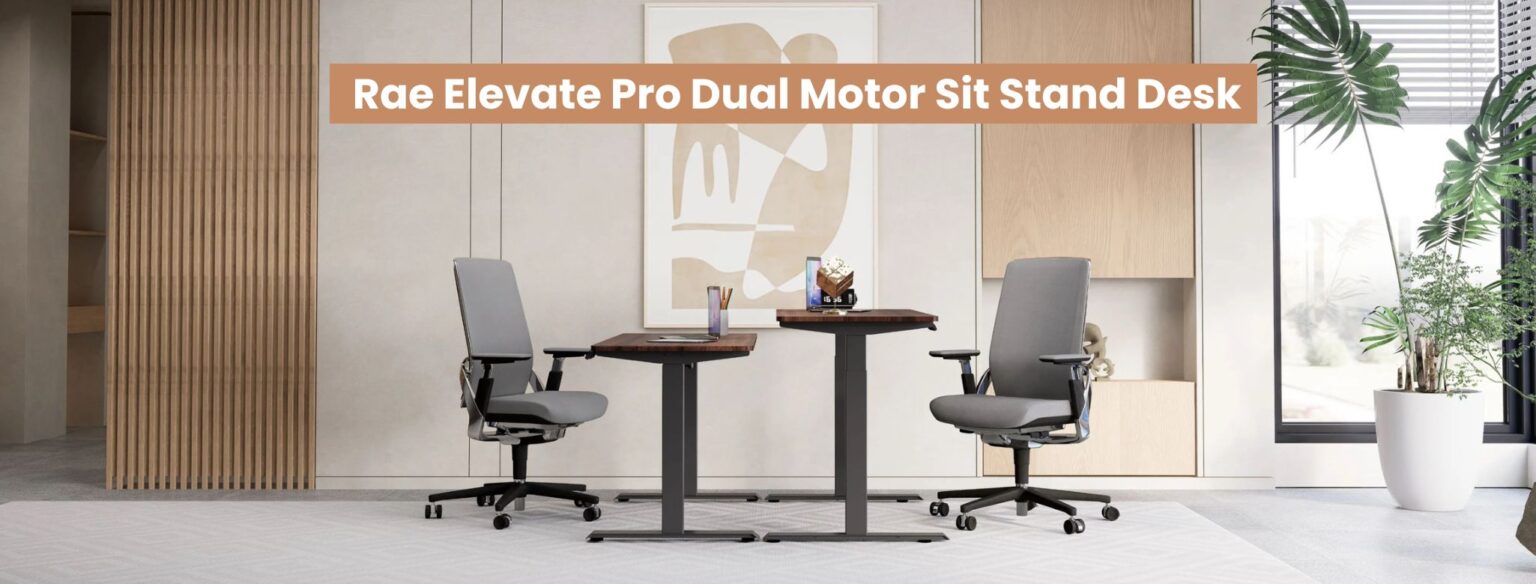 Dual Motor Height Adjustable Desk - Rae
