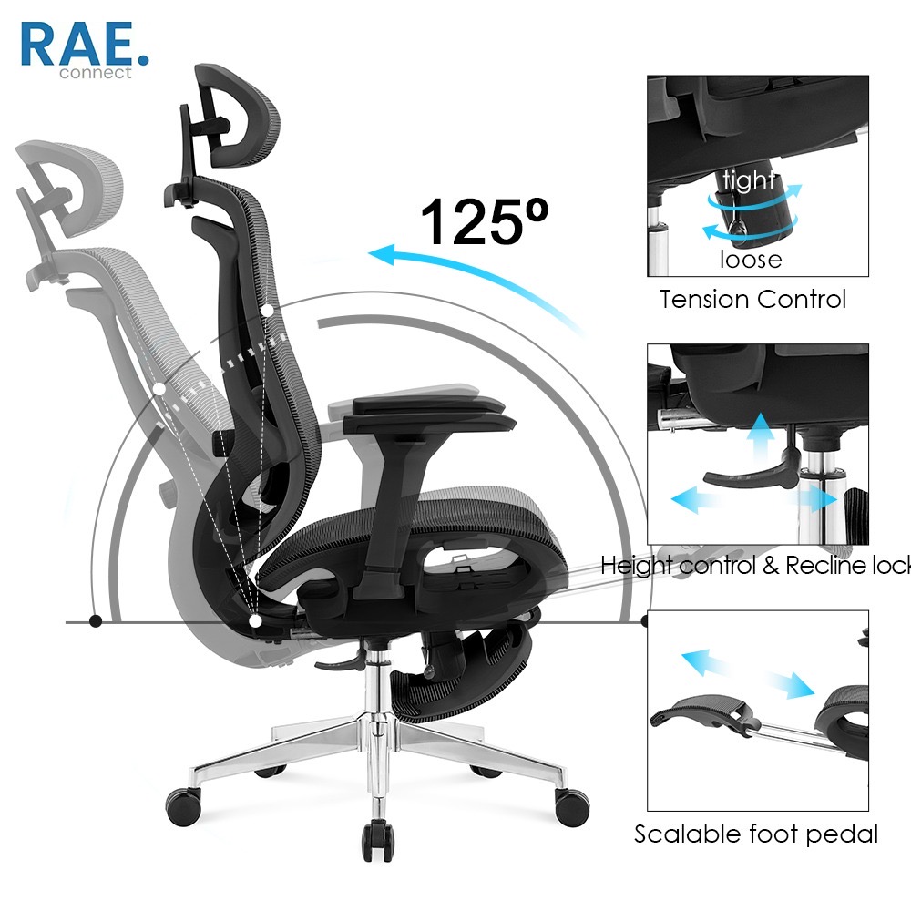 Rae Ergo Flex 4D Ergonomic Chair | Mesh Office Chair