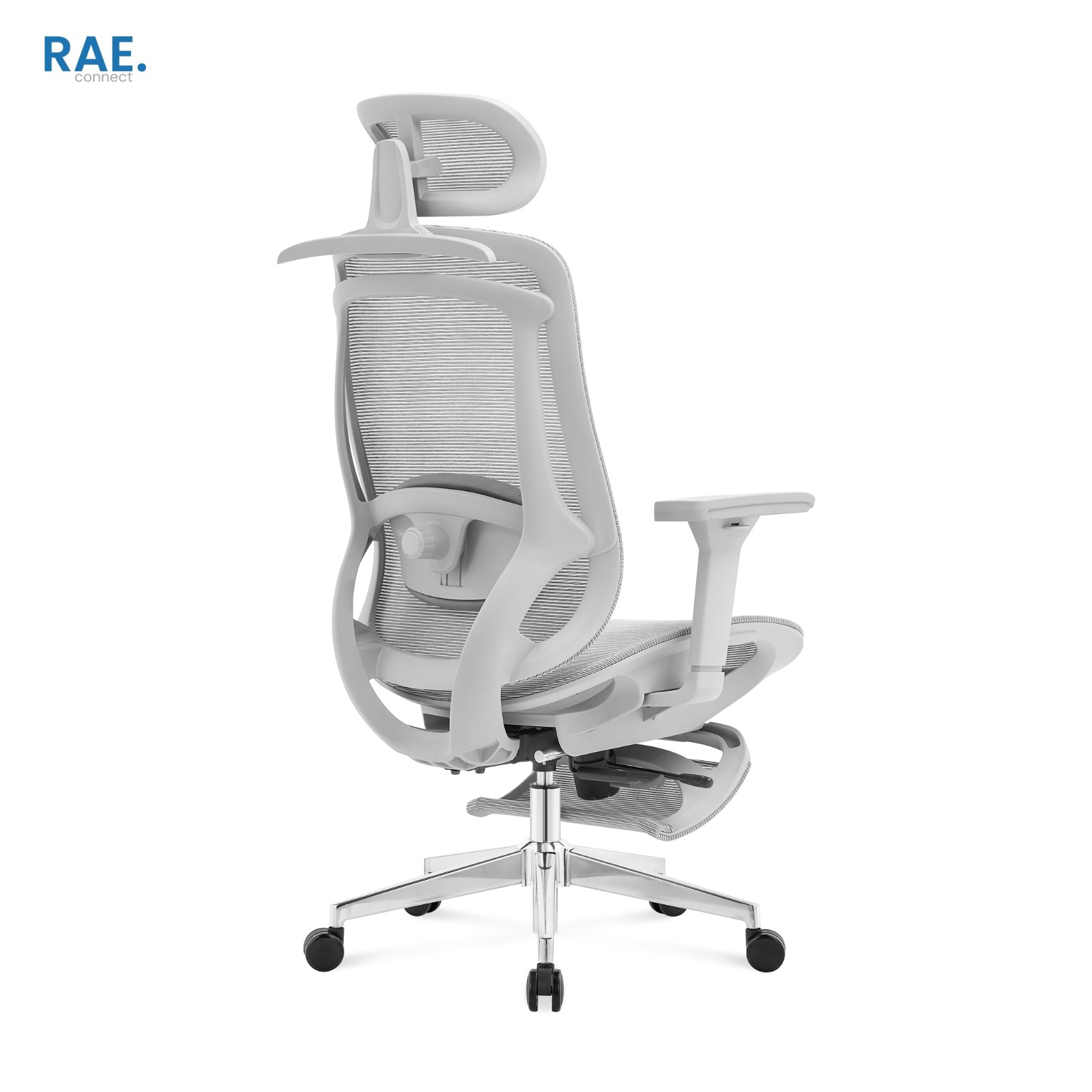 Rae Ergo Flex 4D Ergonomic Chair | Mesh Office Chair