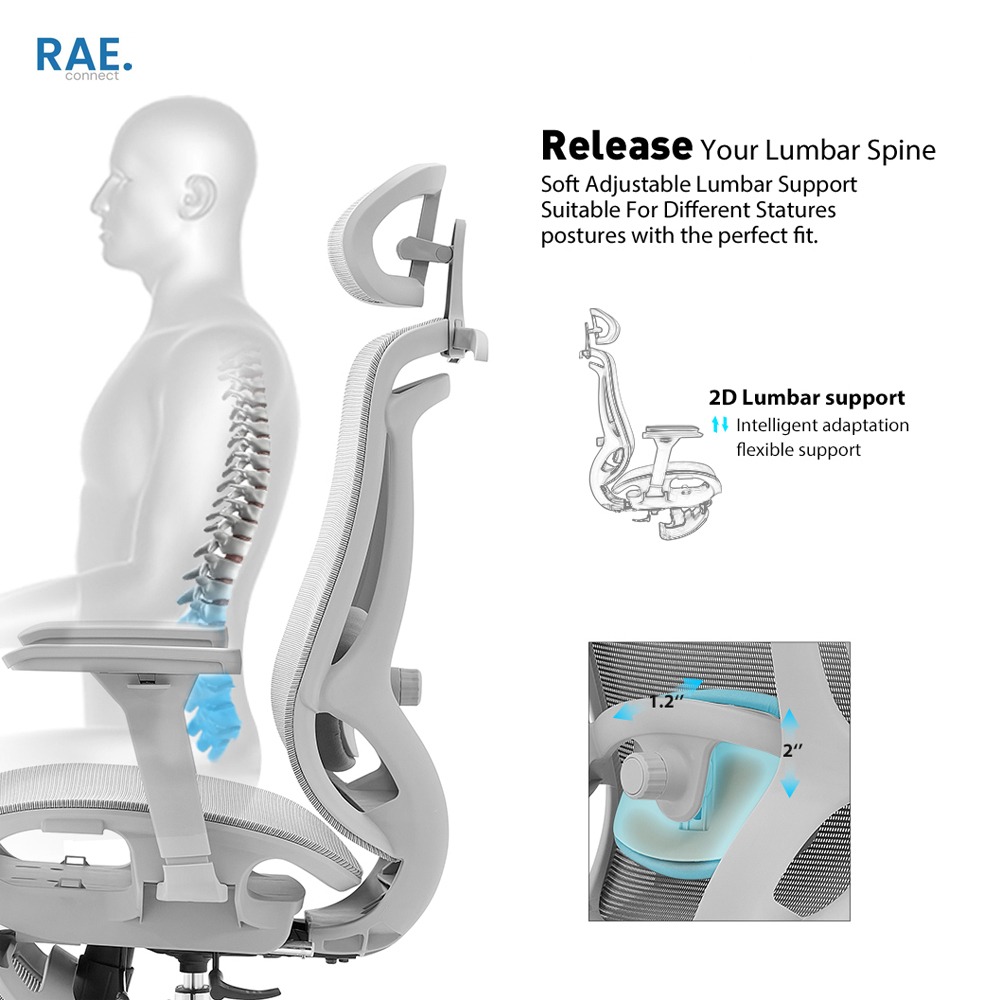 Rae Ergo Flex 4D Ergonomic Chair | Mesh Office Chair