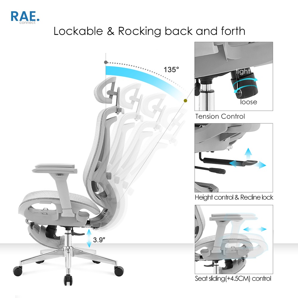 Rae Ergo Flex 4D Ergonomic Chair | Mesh Office Chair
