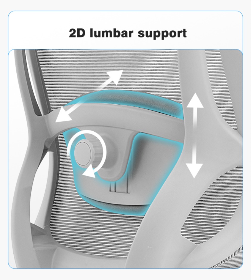 Rae Ergo Flex 4D Ergonomic Chair | Mesh Office Chair