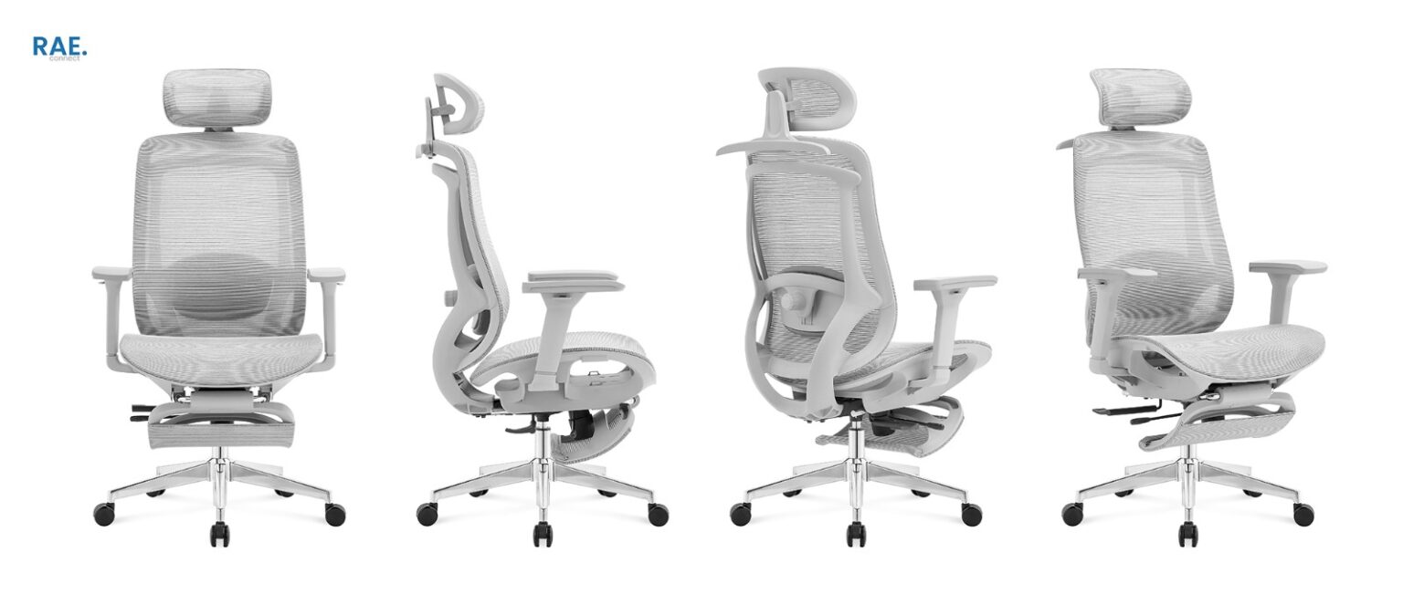 Rae Ergo Flex 4D Ergonomic Chair | Mesh Office Chair