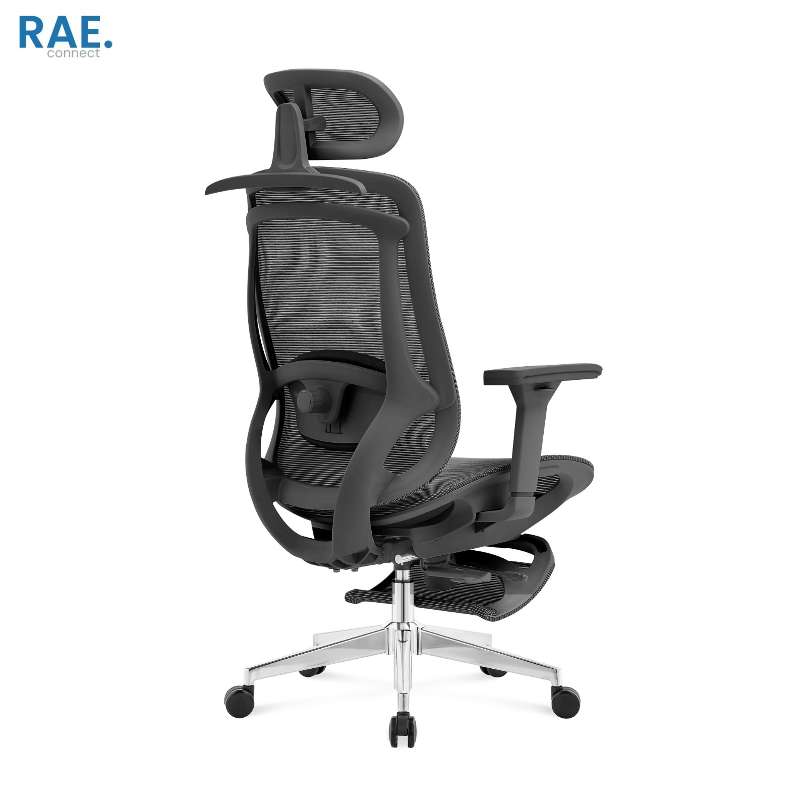 Rae Ergo Flex 4D Ergonomic Chair | Mesh Office Chair
