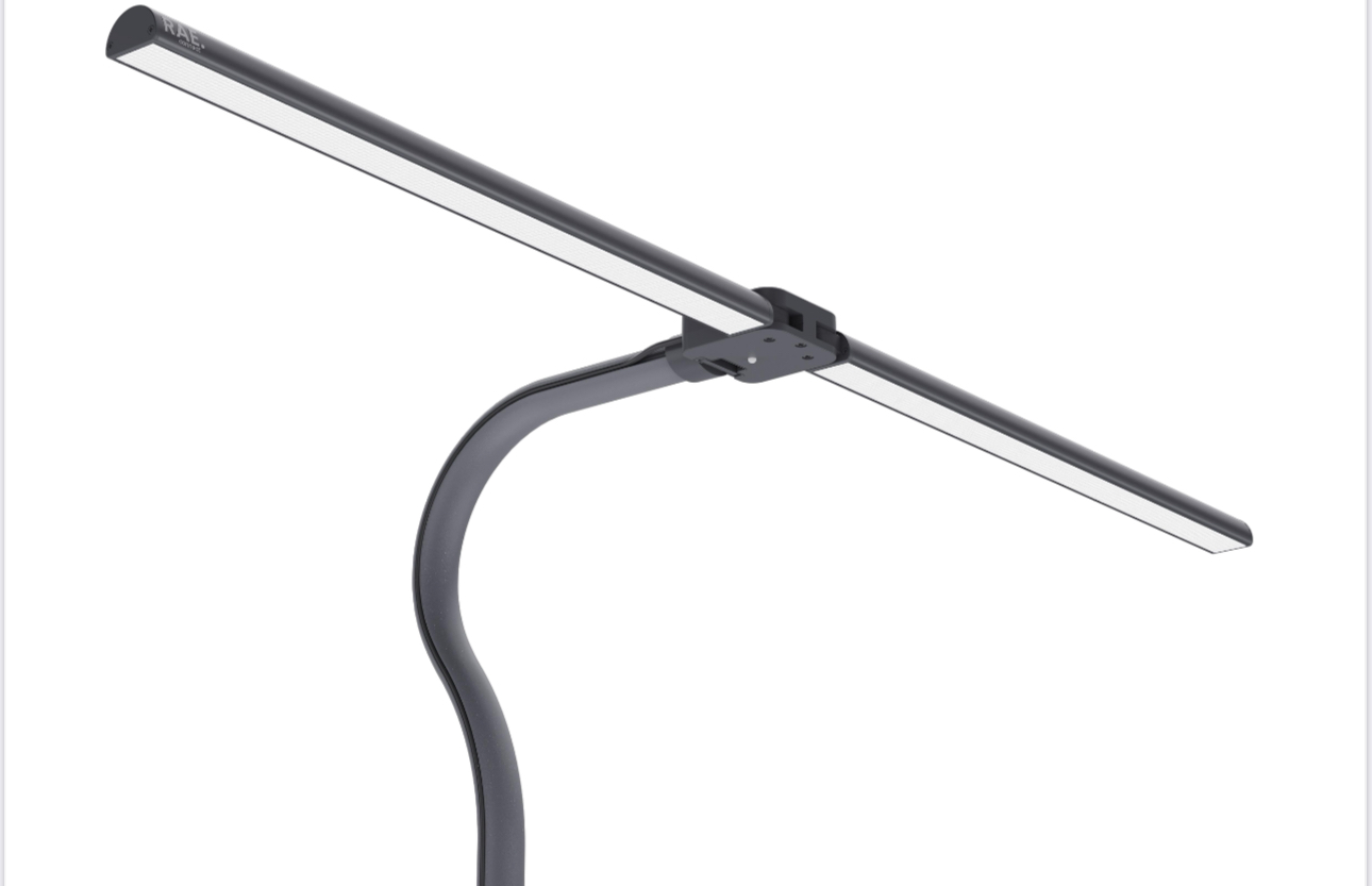 Rae Double Head Led Desk Lamp - Rae